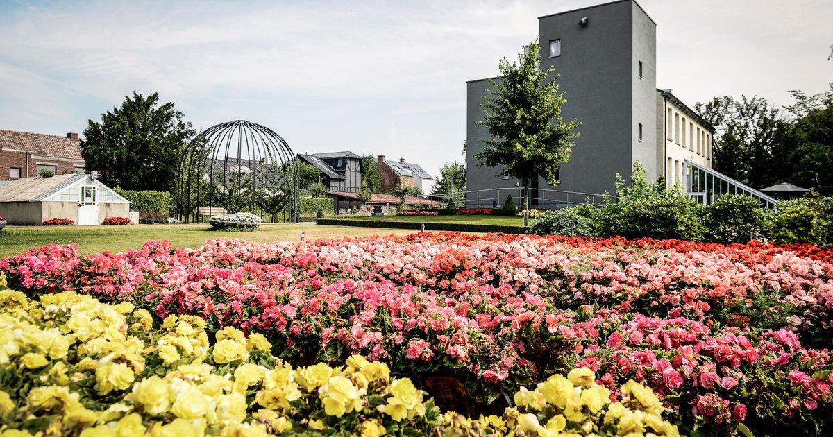 Vakantiewoning De Lozen Boer | Het Waasland