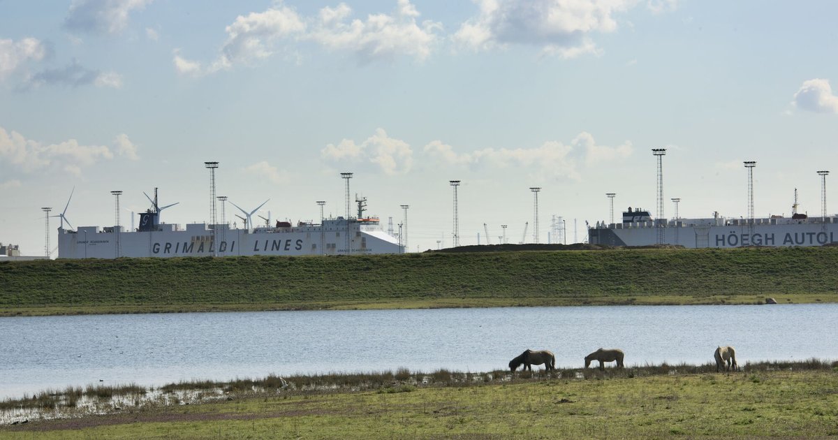 Fiets door contrastrijk Waasland | Het Waasland