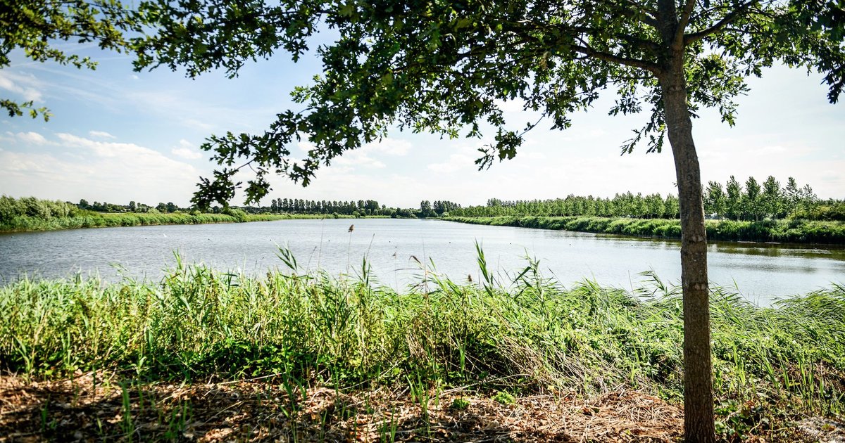 Fietsen langs de Wase waterkant | Het Waasland