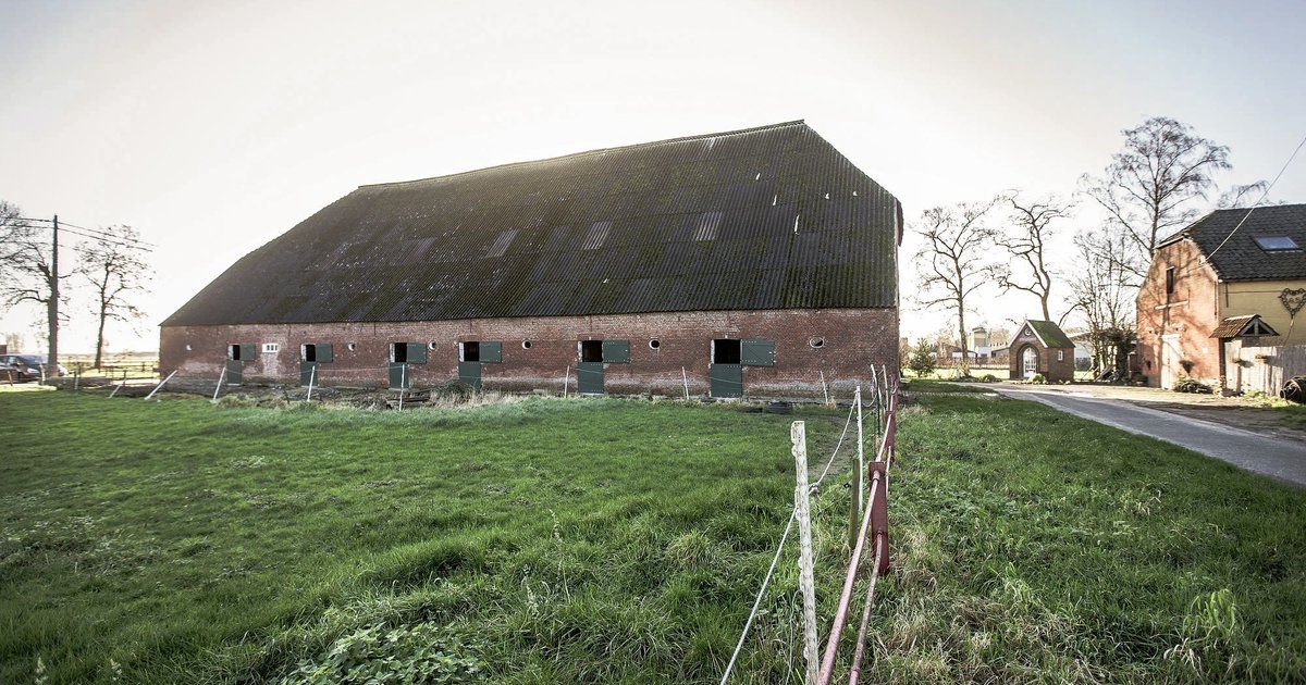 De Prosperhoeve met maalderij | Waasland