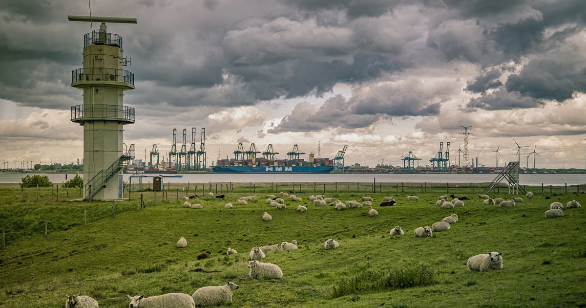 Verrassende meerdaagse fietsroutes in het Waasland | Het Waasland